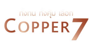 แอร์แคเรียร์ Copper 7 ทนทานด้วยคอยล์ทองแดง คุ้มค่า